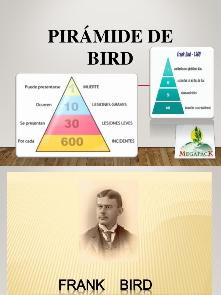 Pirámide de Bird: Control de Riesgos Laborales | PDF | Seguridad | Perros