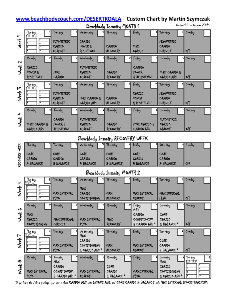 Beachbody Insanity Custom Chart - Version 3.0 PDF | PDF | Sports | Leisure