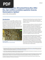 Beekeeping Training Manual | PDF | Honey Bee | Beehive