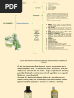 Definicion y Prestadores de Servicios Turisticos | PDF | Agencia de viajes | Turismo