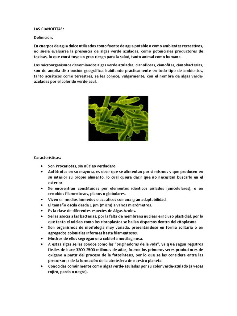 Características de las cianofitas | PDF | Cianobacterias | Algas