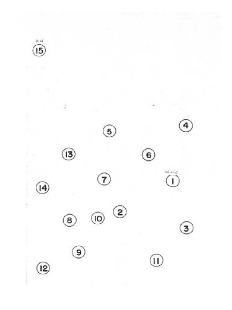 TMT Niños Formato | PDF