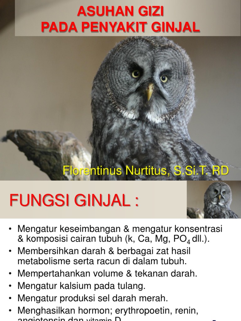 NCP PGK | PDF | Kesehatan Holistik