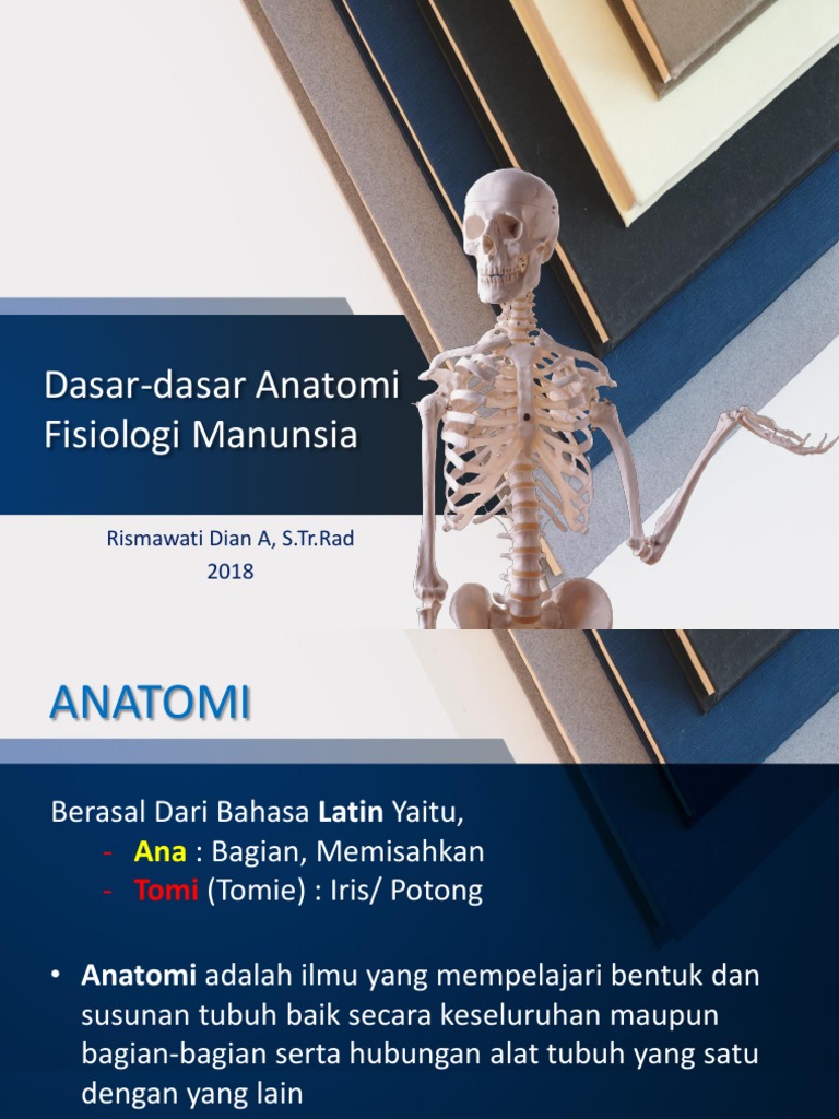 Dasar-Dasar Anatomi Fisiologi Manusia | PDF