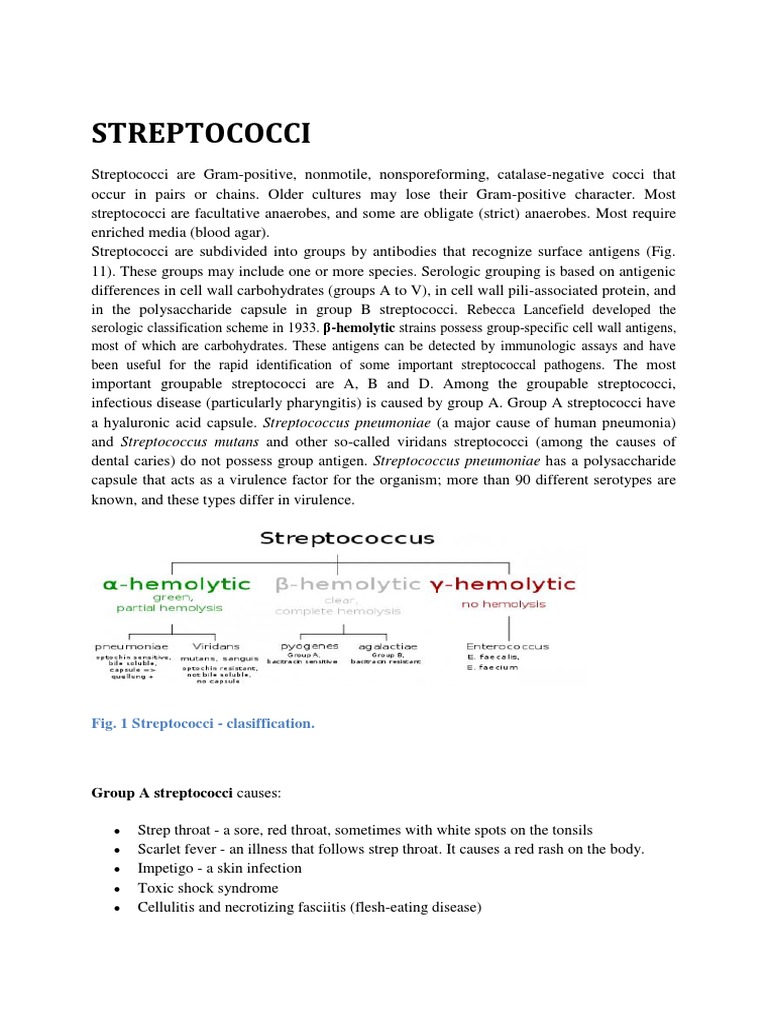Fig. 1 Streptococci - Clasiffication | PDF | Streptococcus | Immunology