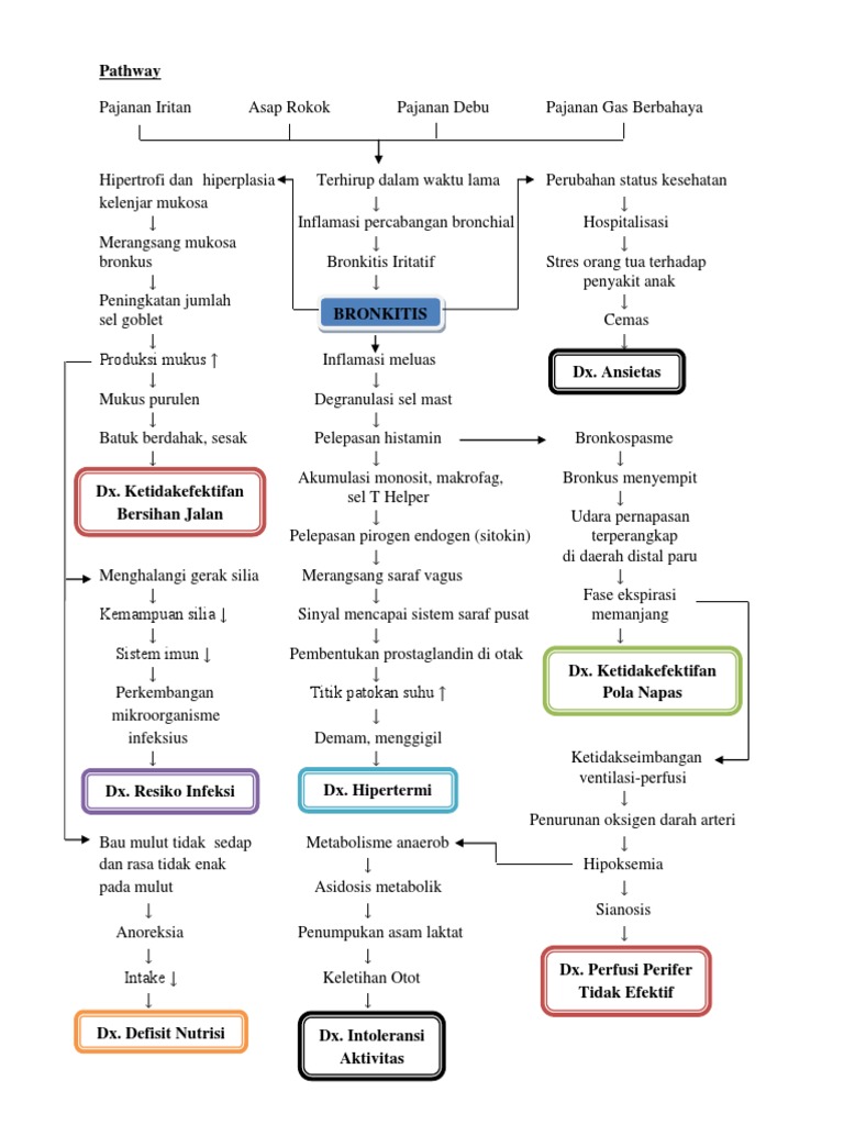 Pathway Bronkitis | PDF
