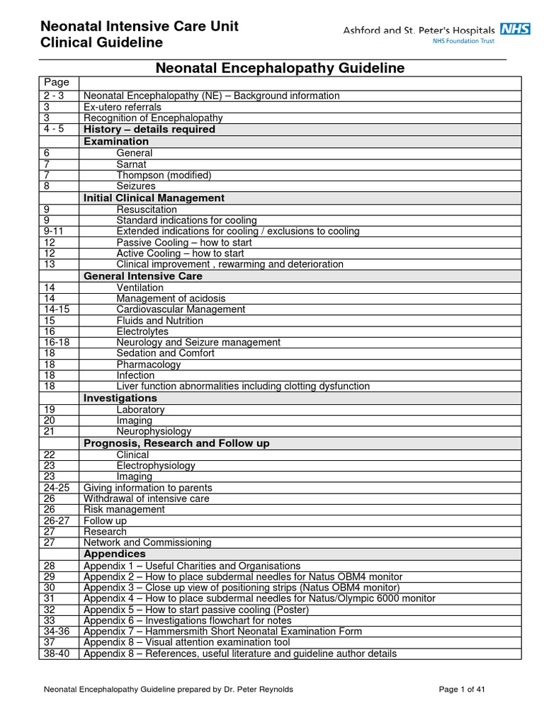 Neonatal Encephalopathy Guideline | PDF | Childbirth | Hypoglycemia