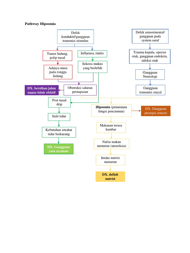 Patway Hiposmia | PDF