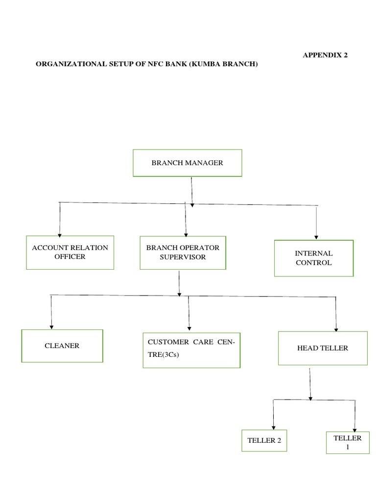 Appendix 2 Organizational Setup of NFC Bank (Kumba Branch) | PDF
