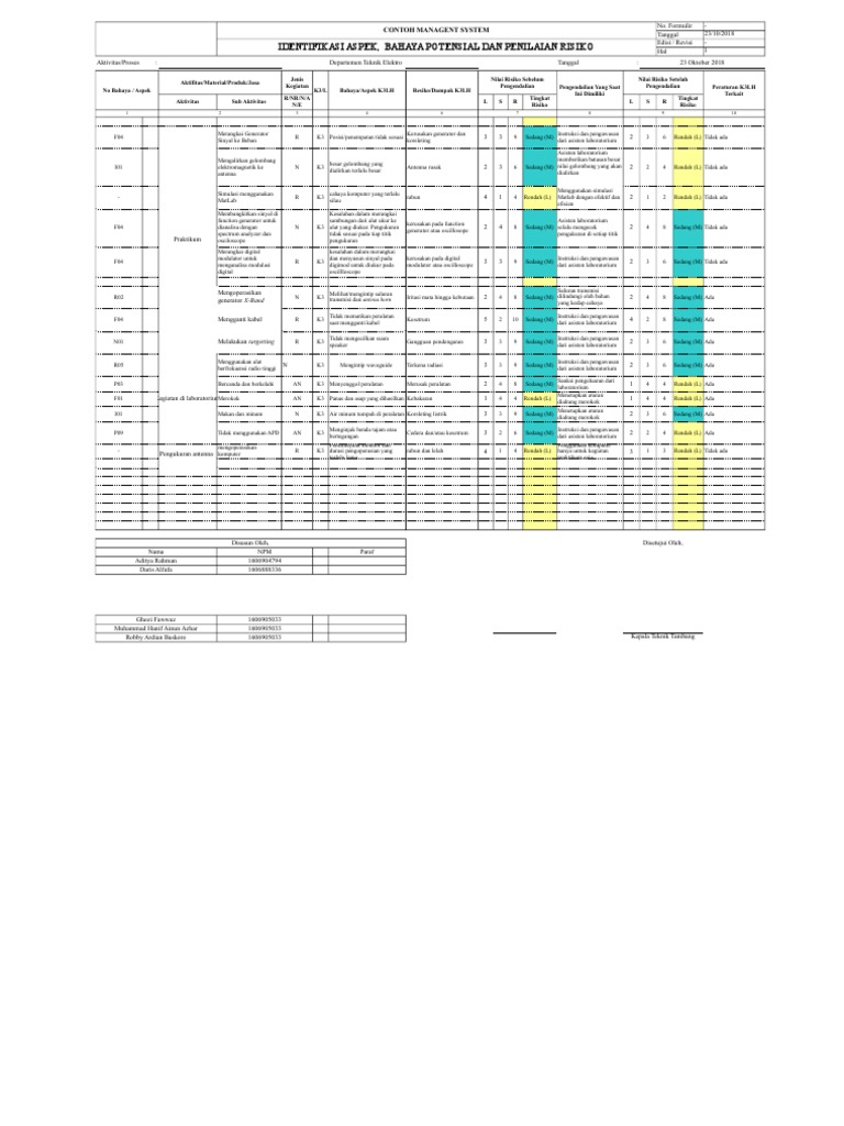 Form Risk Assessment | PDF