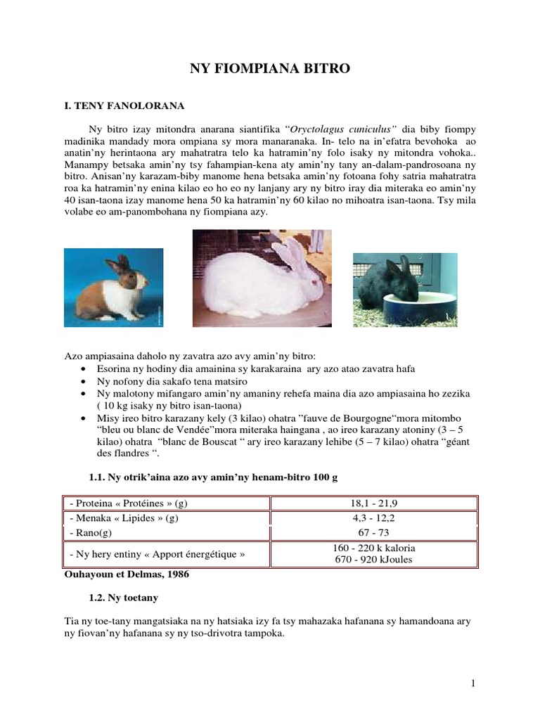 Fiompiana Bitro | PDF