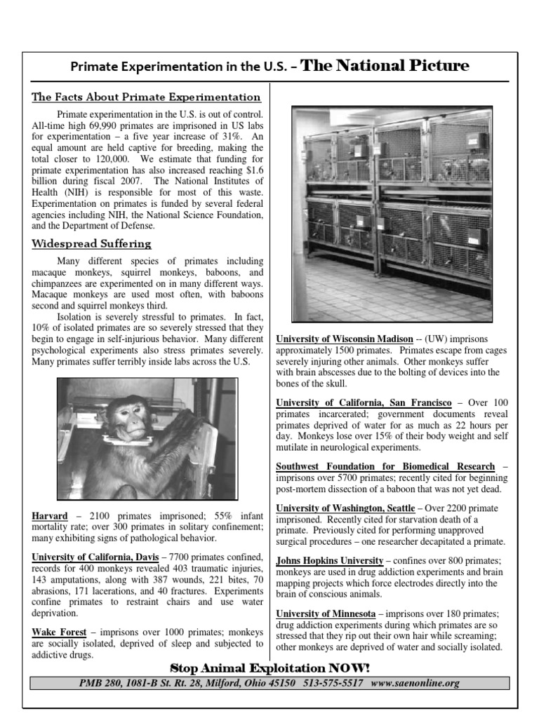 Primate Testing 2009 | PDF | Animal Testing On Non Human Primates ...