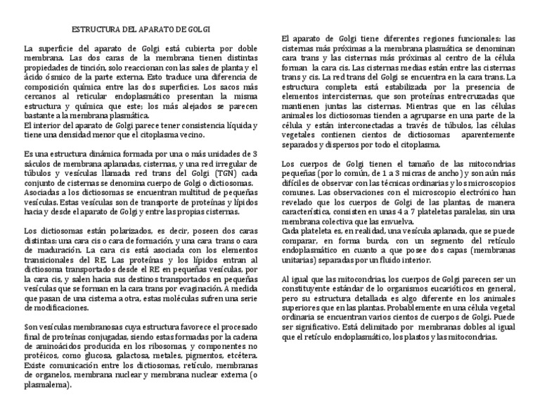 Estructura y Función del Aparato de Golgi | PDF | Citoplasma | Membrana ...