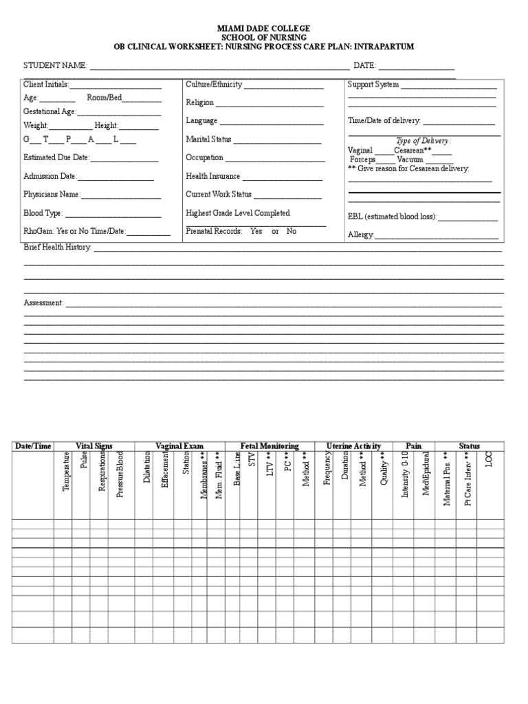 Intrapartum Nursing Care Worksheet | PDF | Childbirth | Human Reproduction