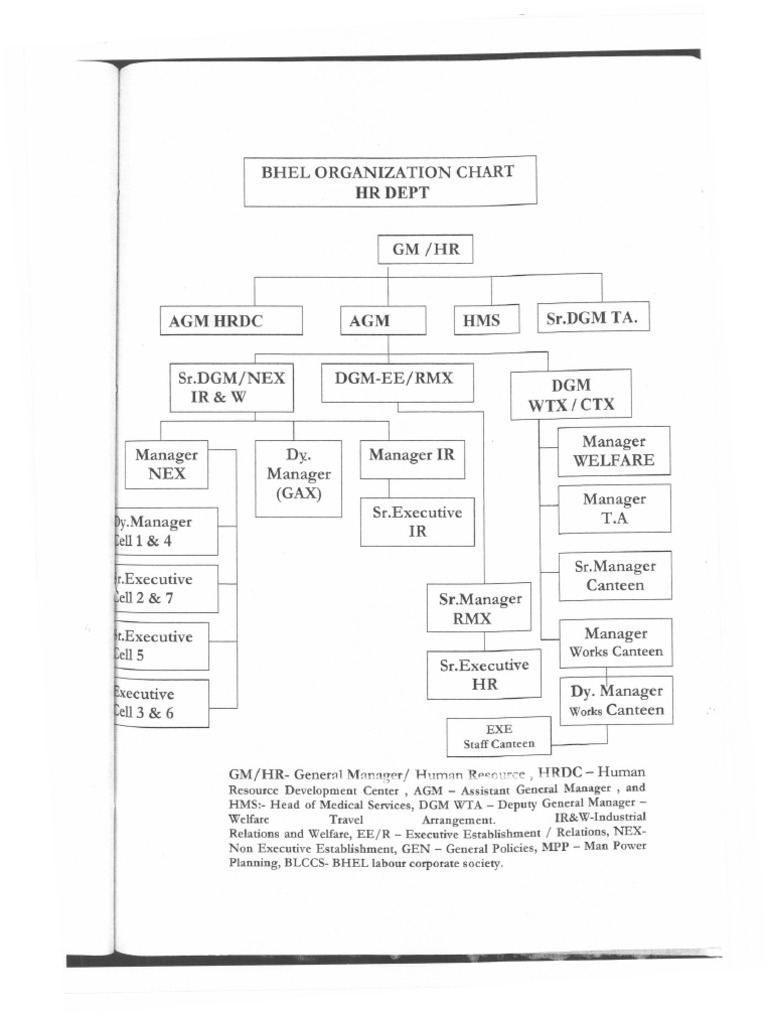 Bhel Organization Chart HR Dept: Agm HRDC | PDF