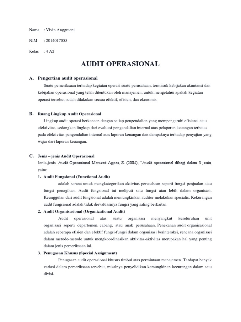 Audit Operasional | PDF