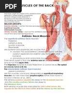 Understanding SIJ: Form and Force Closure | PDF | Pelvis | Vertebral Column