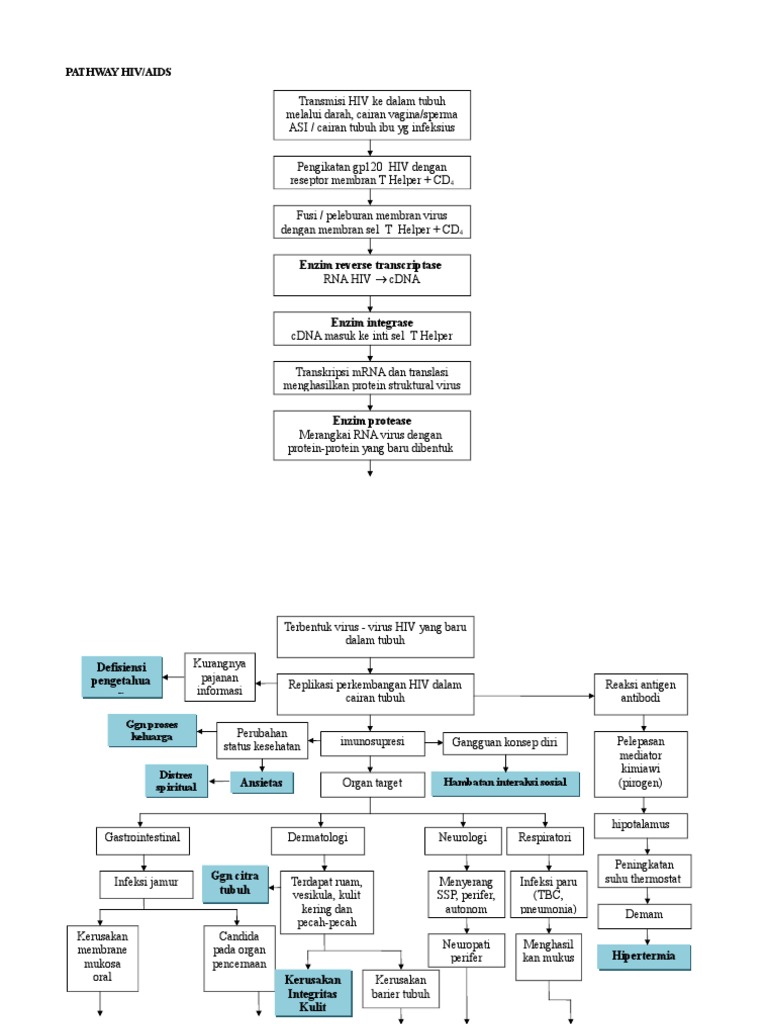 Pathway AIDS | PDF