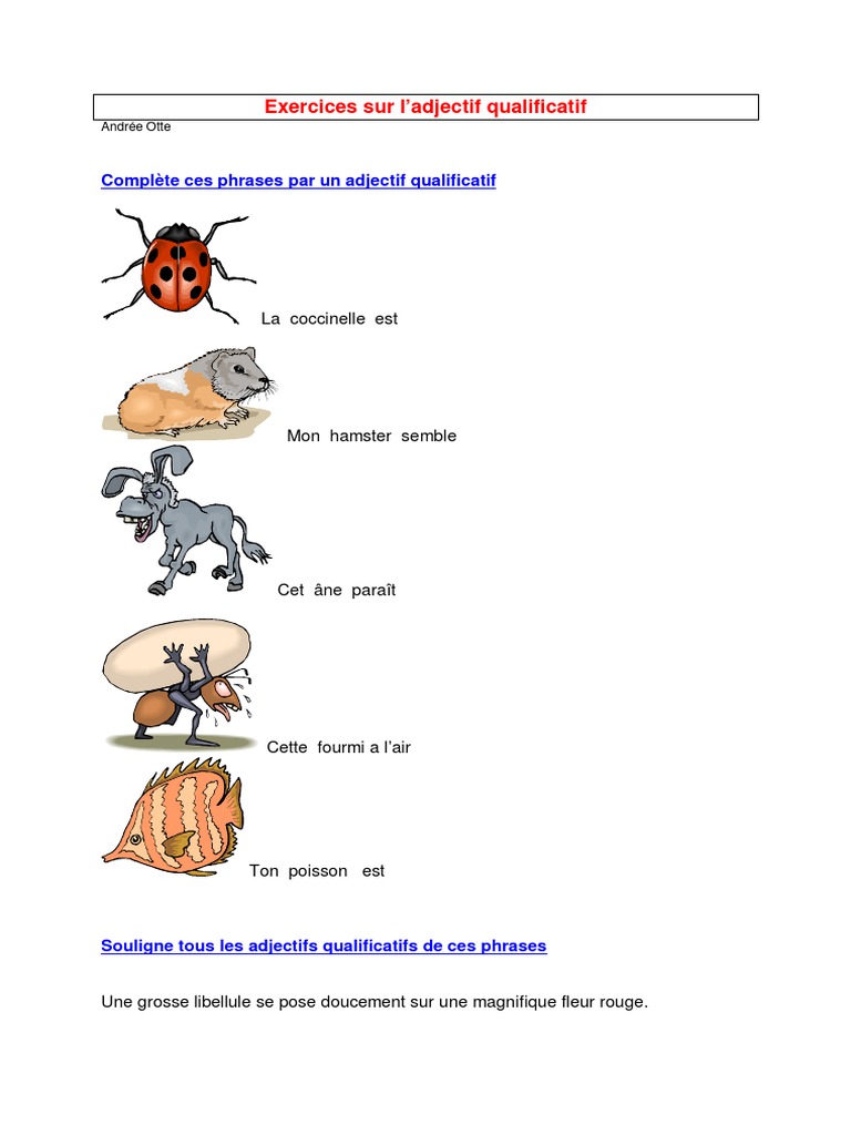 Exercices Sur L Adjectif Qualificatif PDF | PDF