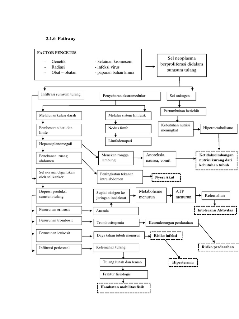 Pathway Leukemia