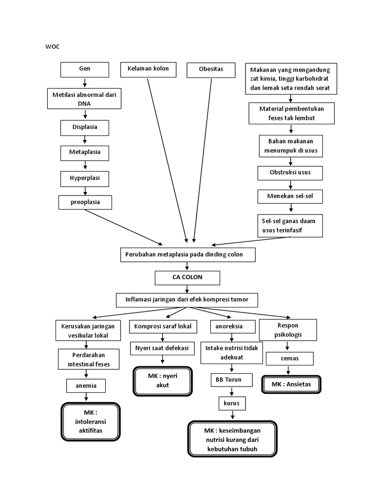 Pathway Kanker Kolon dan Patofisiologi | PDF