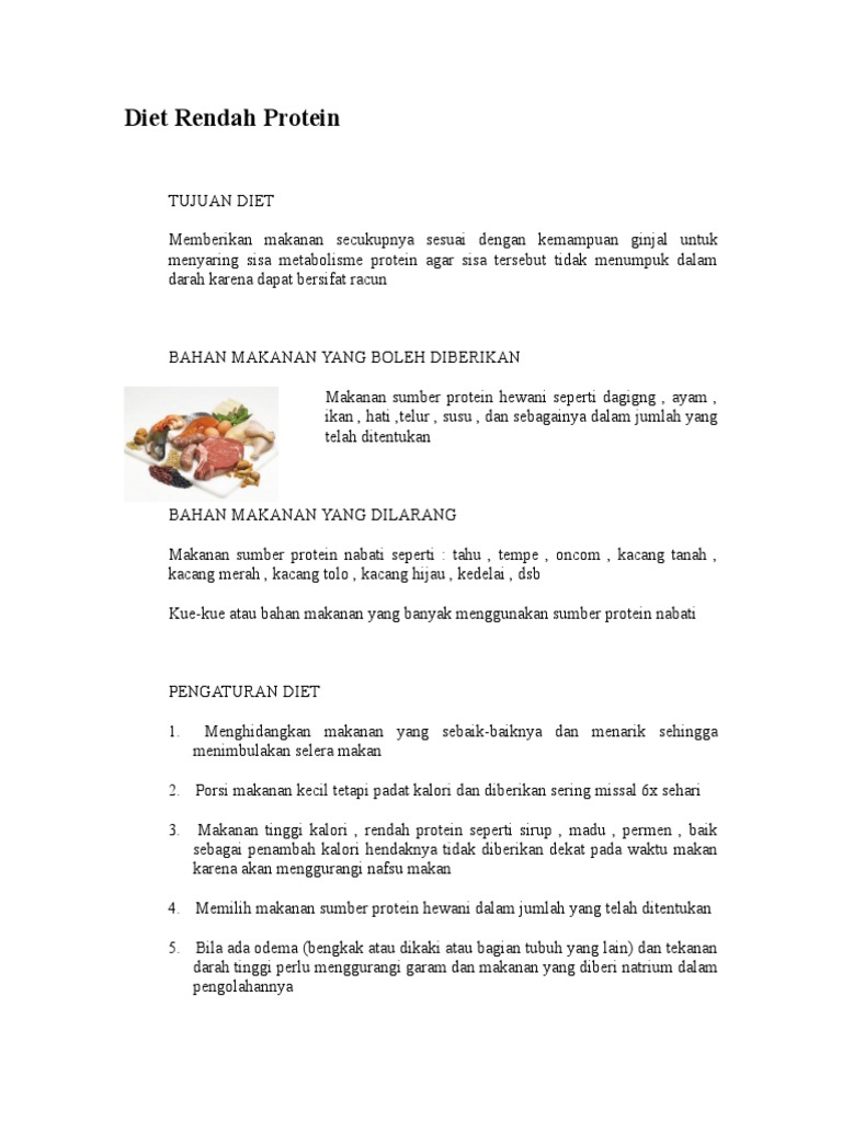 Diet Rendah Protein | PDF