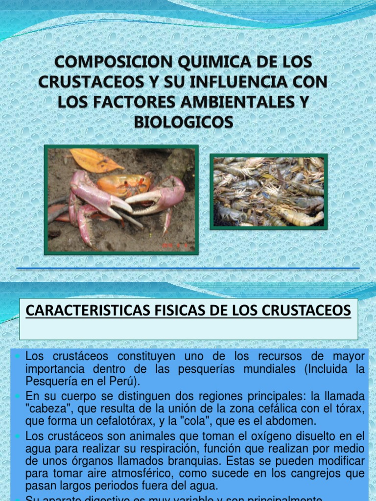 Diapositivas de Los Crustaceos | Salinidad | Crustáceo