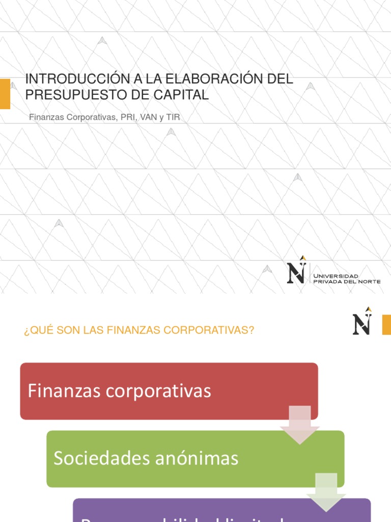 Introducción A La Elaboración Del Presupuesto de Capital | PDF | Flujo de efectivo | Hoja de balance