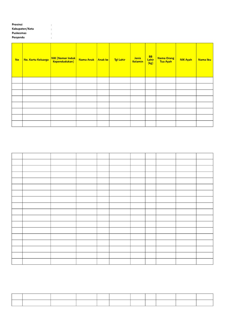 Form Data Sasaran Balita Fix | PDF