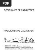 Posiciones Cadavéricas - MOC | PDF | Términos anatómicos de ubicación