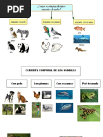 Cubierta Corporal de Los Animales | PDF
