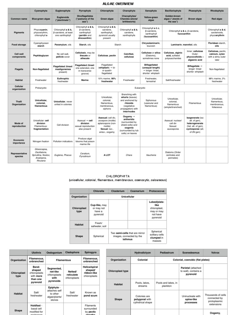 Algae Charts | PDF | Algae | Aquatic Organisms