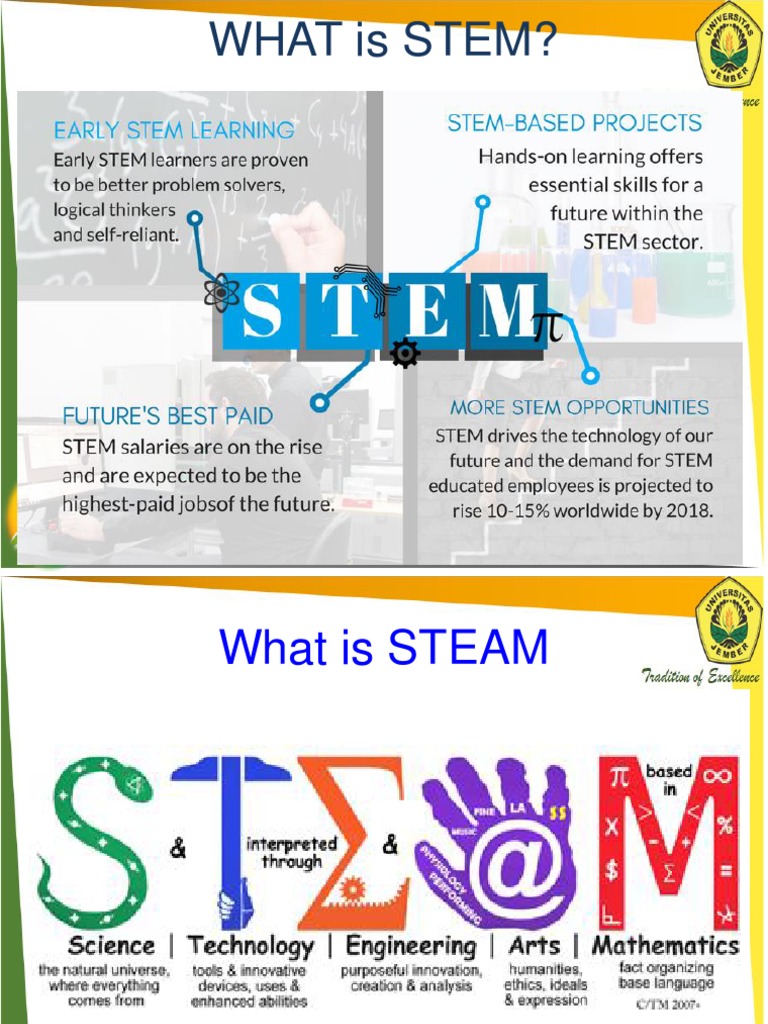 Stem Education | PDF