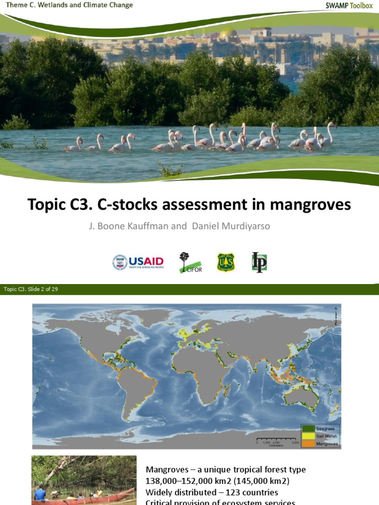 C3 C-Stocks Assessment Mangroves | PDF | Mangrove | Intergovernmental ...