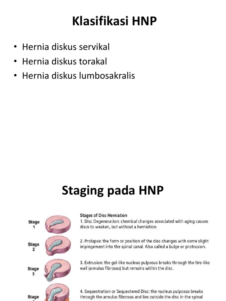 Klasifikasi HNP | PDF | Sains & Matematika
