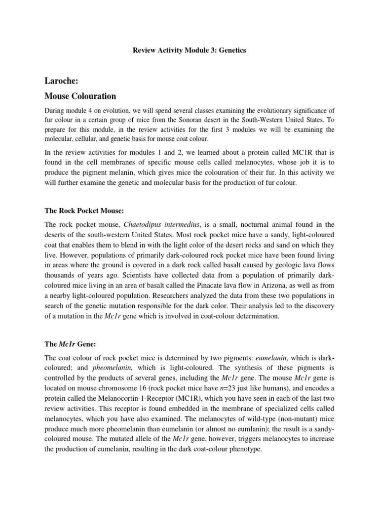 Module 3 Answers | PDF | Dominance (Genetics) | Zygosity