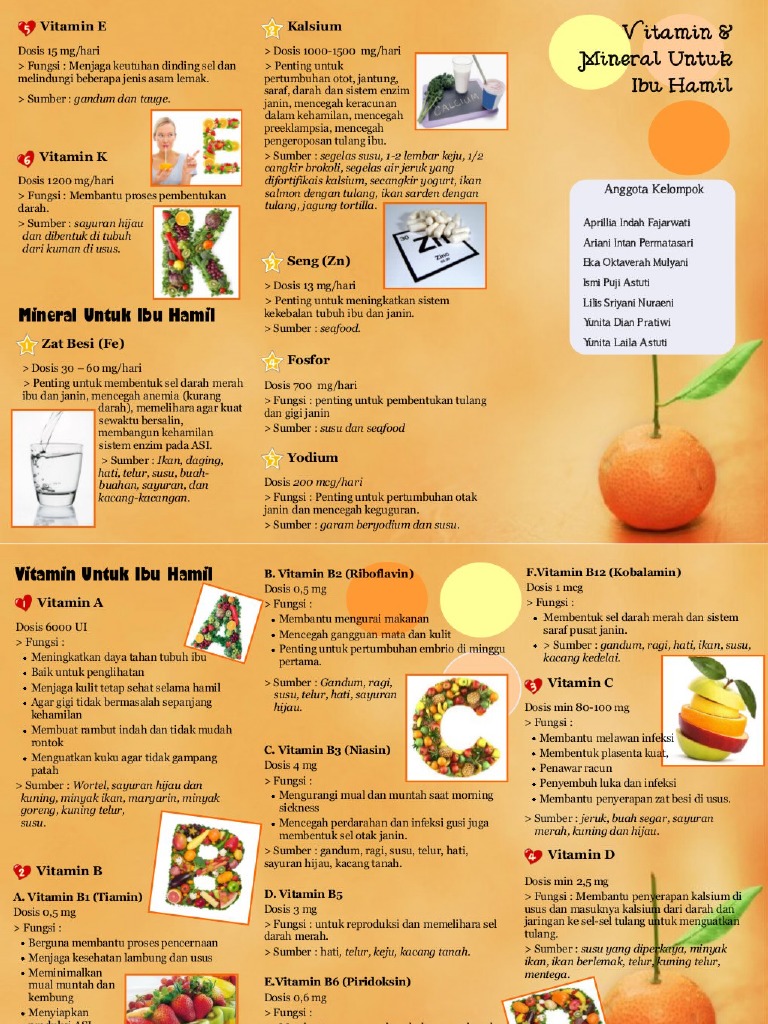 Leaflet Vitamin Dan Mineral Untuk Ibu Hamil | PDF
