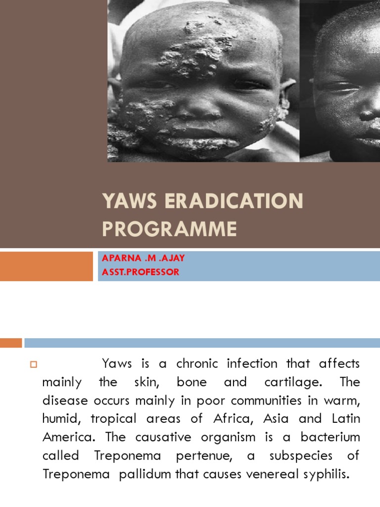 Yaws Eradication Programme | PDF | Eradication Of Infectious Diseases ...