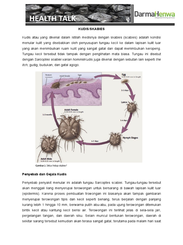 Kudis | PDF