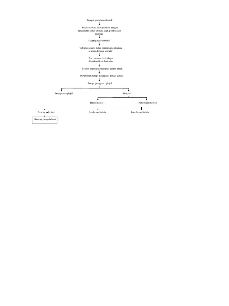 Pathway Hemodialisa | PDF