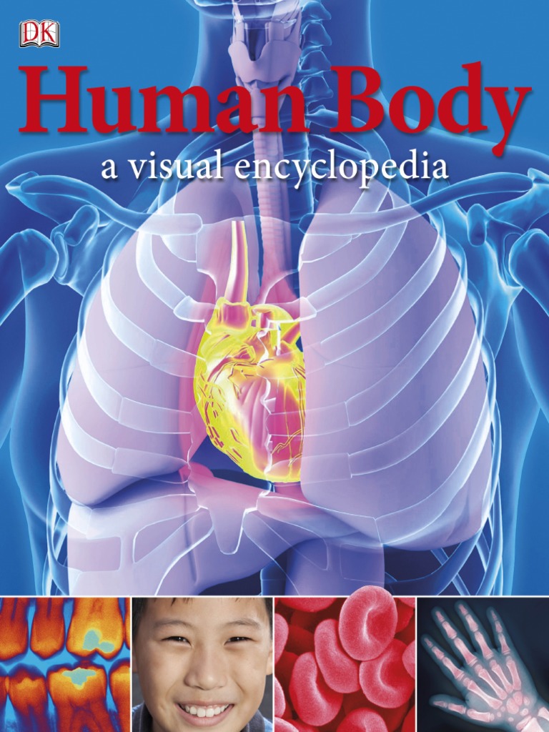 Human Body - A Visual Encyclopedia - Brown, Morgan, Walker, Woodward ...