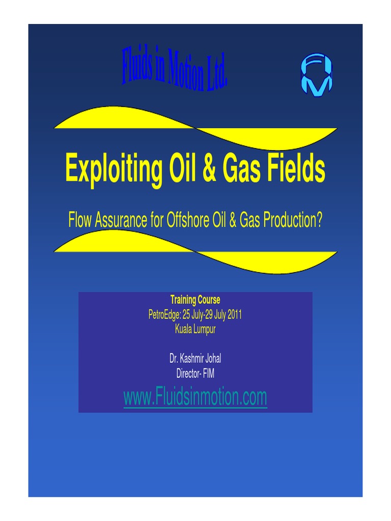 Offshore Oil & Gas Flow Assurance Training | PDF | Blowout (Well ...