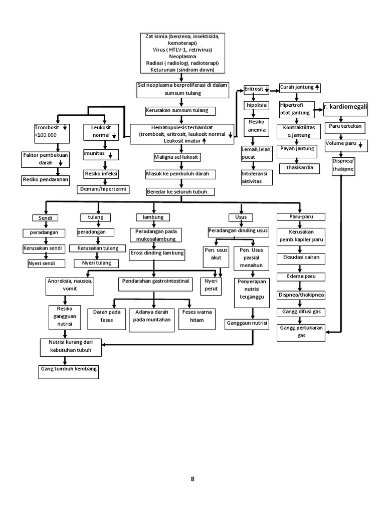 Pathway Leukimia