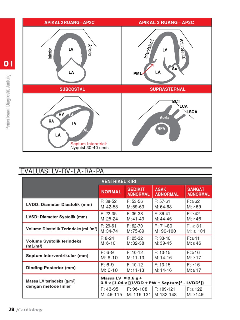Cardiology A Practical Handbook-41-61 Edit 12 | PDF