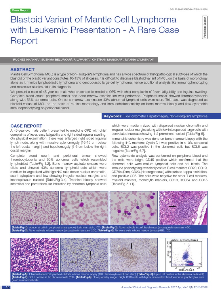 LMNH Manta F Blastoida | PDF | Lymphoma | Lymphocyte