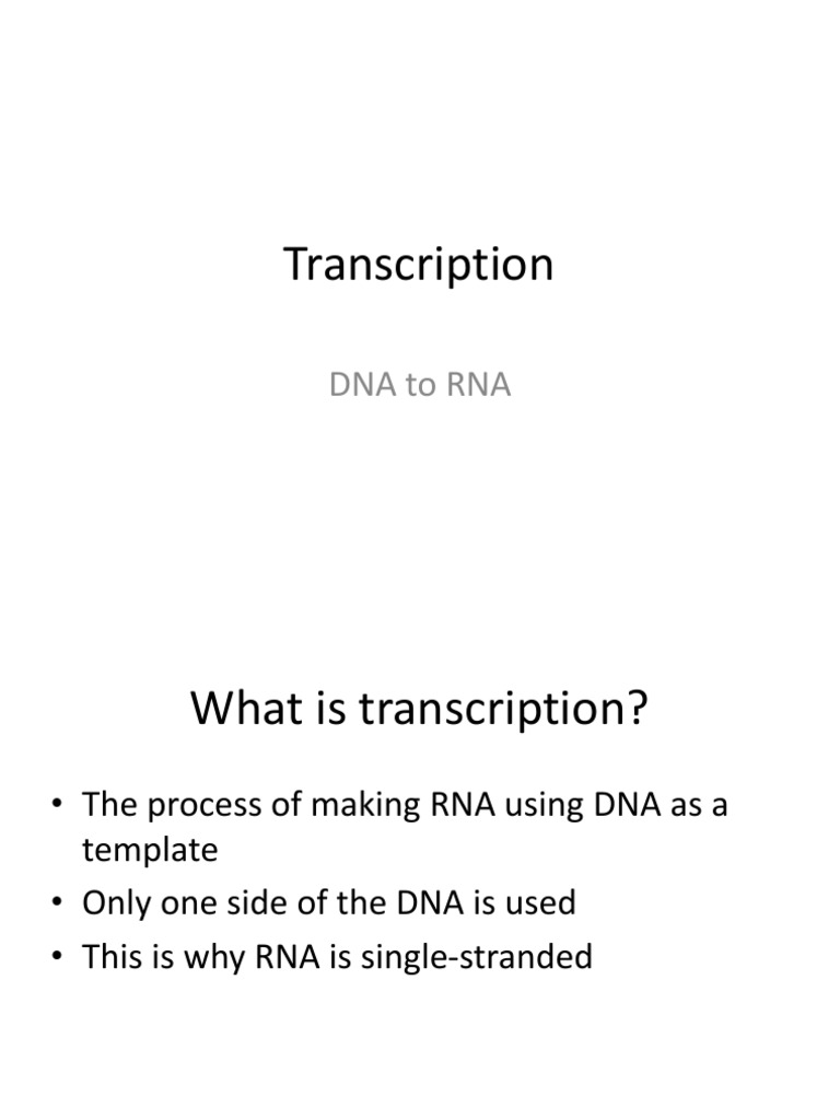Transcription Simplified | PDF