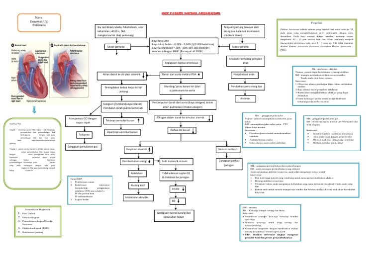 Woc Patent Ductus Arteriosus 1 | PDF