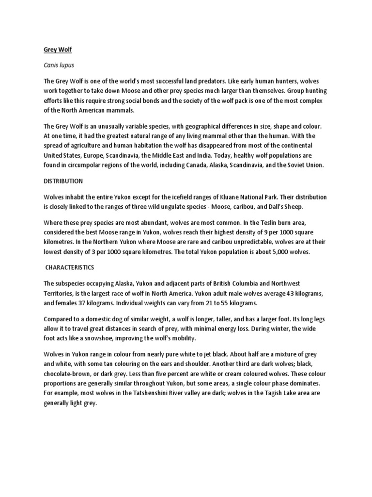 Canis Lupus Grey Wolf Pdf Moose Gray Wolf