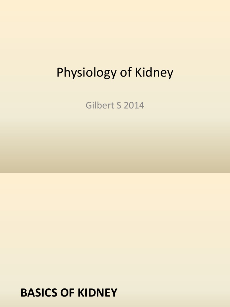 Physiology of Kidney Functions and Nephron Structure | PDF | Kidney ...