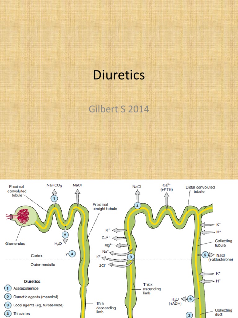 Understanding the Mechanisms and Sites of Action of Diuretic Drugs in ...